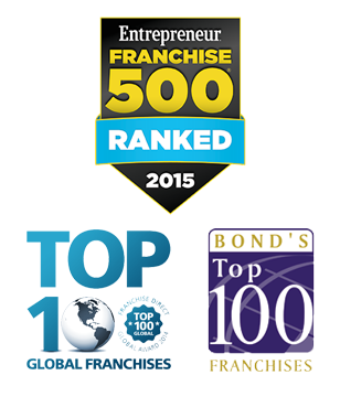 WSI Franchise | Internet Franchise for Sale